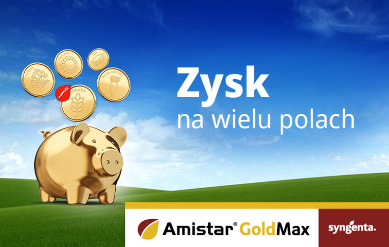 AMISTAR® GOLD MAX firmy Syngenta z rejestracją rozszerzoną o uprawy zbożowe