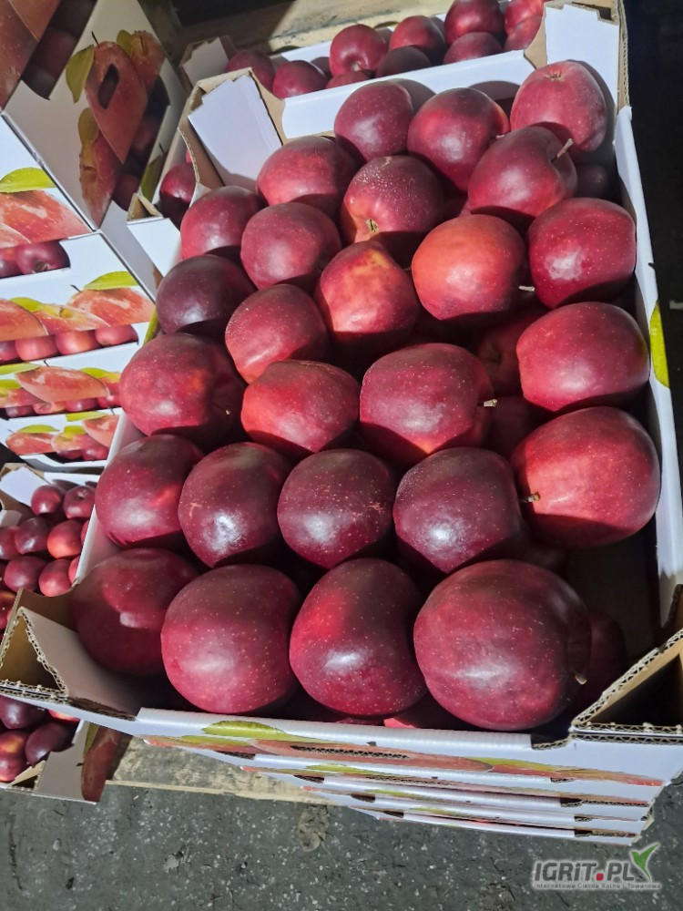 Sprzedam jablko odmiany jonaprince kolorym kartonie badz dre ...